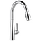 Delta 9113-DST Essa Kitchen Faucet with Pulldown Spray - Chrome ...